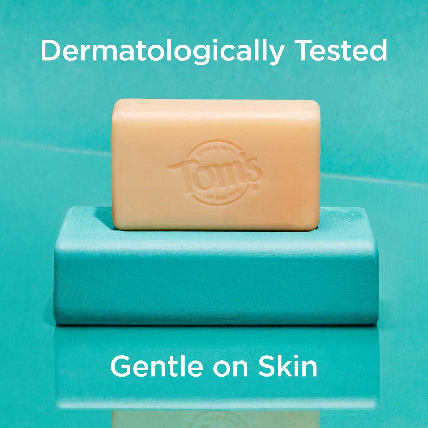 Creamy Coconut Natural Beauty Bar Soap - Tom's of Maine